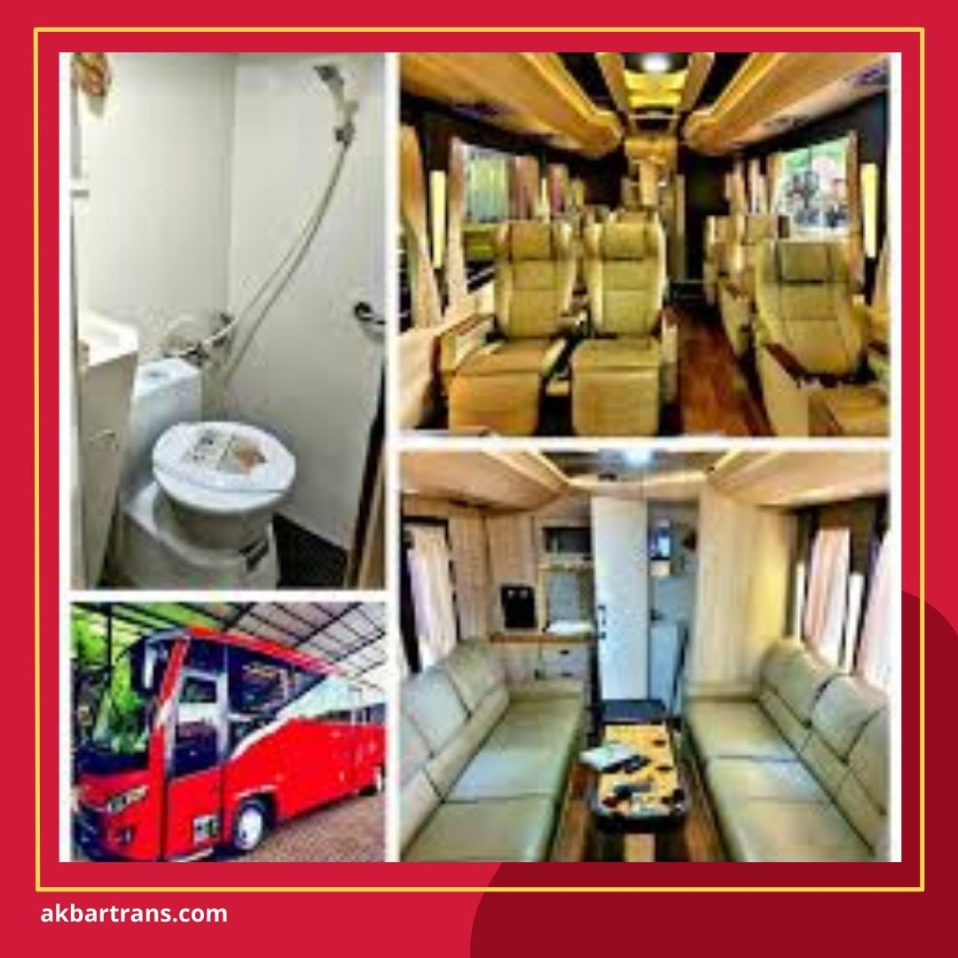 7 Tipe Bus Pariwisata Yang Paling Umum Digunakan