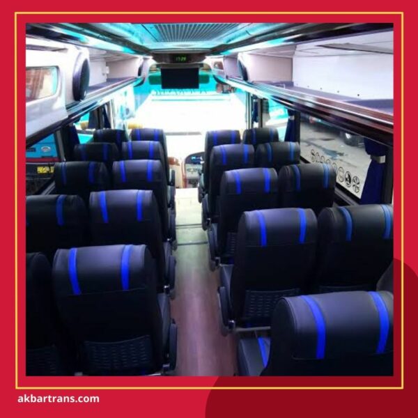 Bus Mini Isi Berapa Orang? Kelebihan & Kekurangannya Juga